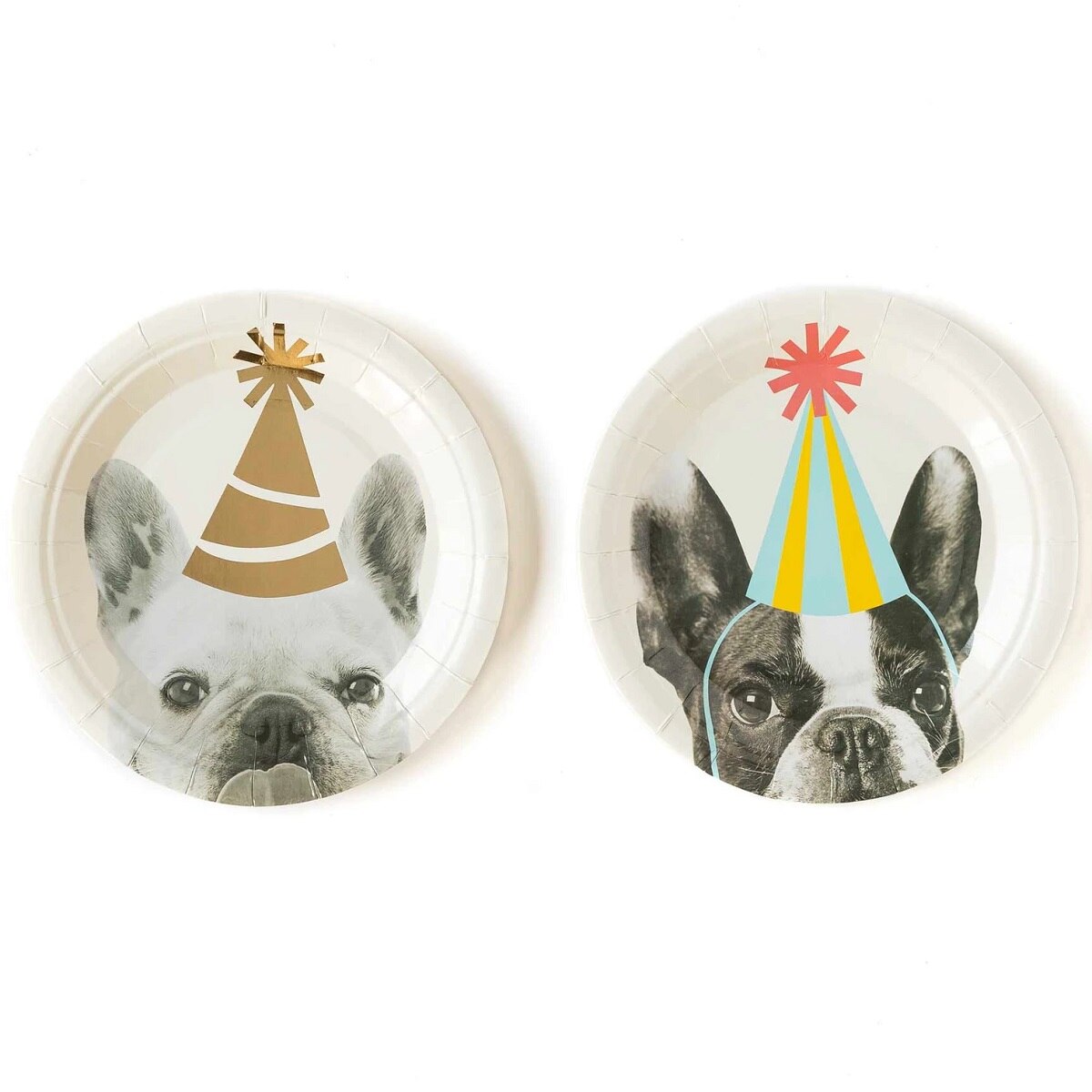 Party Animals 7" Dog Plates – Gygi
